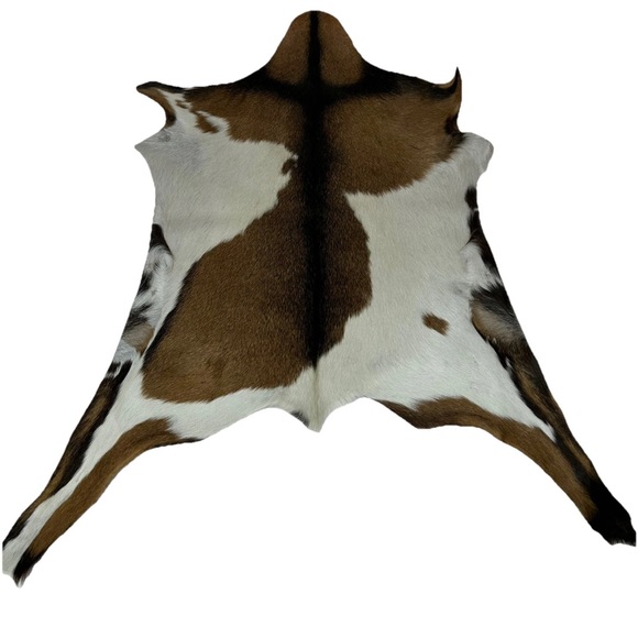 Accents | New Unused Rug Real Tanned Goat Hide Rug Taxidermy Western ...
